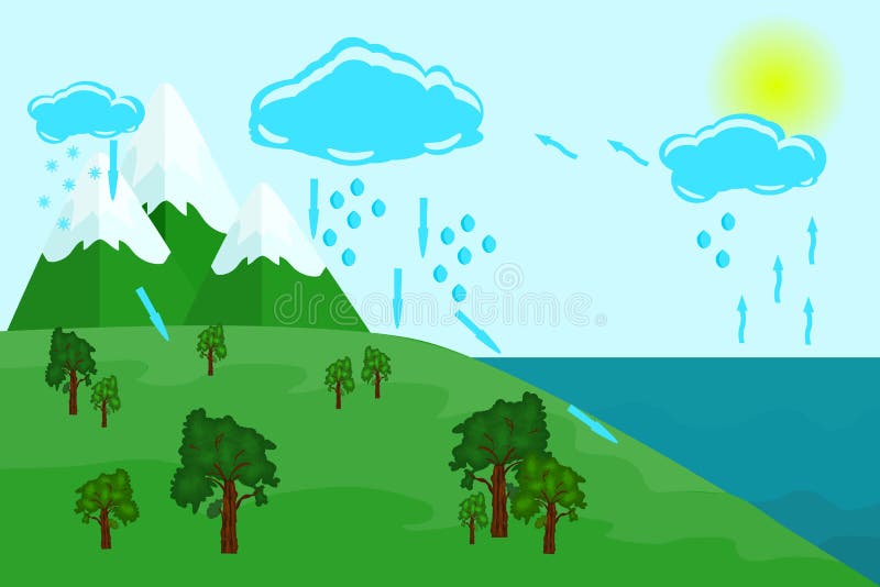Water Cycle in Nature. Circulation Cycle and Water Condensation. Earth ...