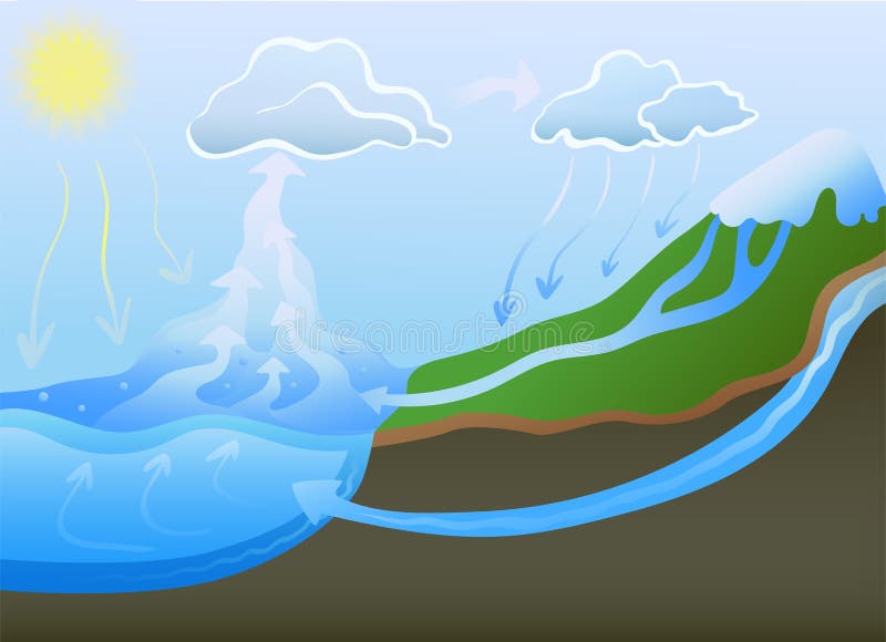 Water Cycle Without Labels