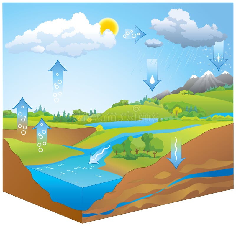 Water Cycle Black and White Stock Vector - Illustration of diagram ... Water Cycle Black and White Stock Vector - Illustration of diagram ...