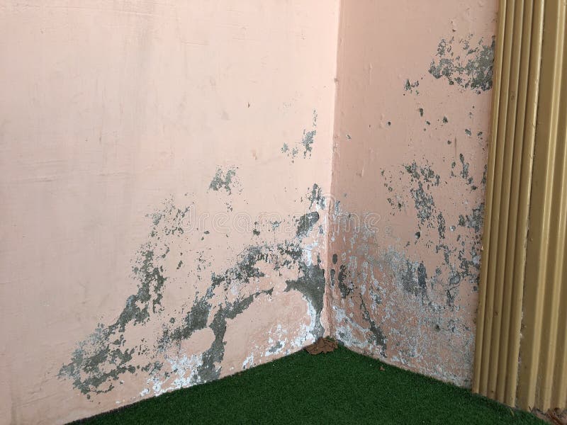 Water Damage Caused by Damp on a Wall in Modern House Stock Image ...