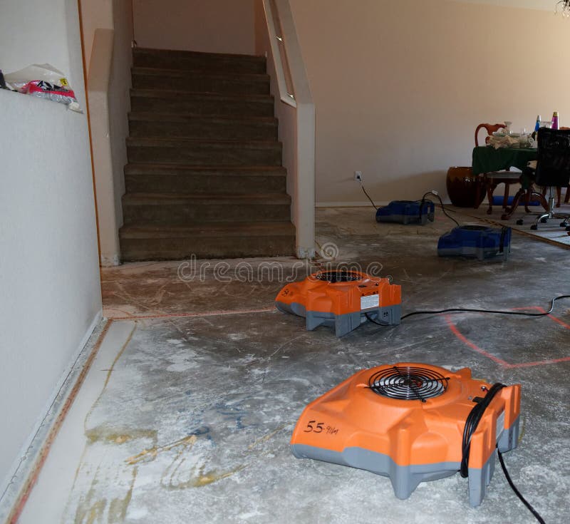 91,782 Water Damage Stock Photos - Free & Royalty-Free Stock Photos ...