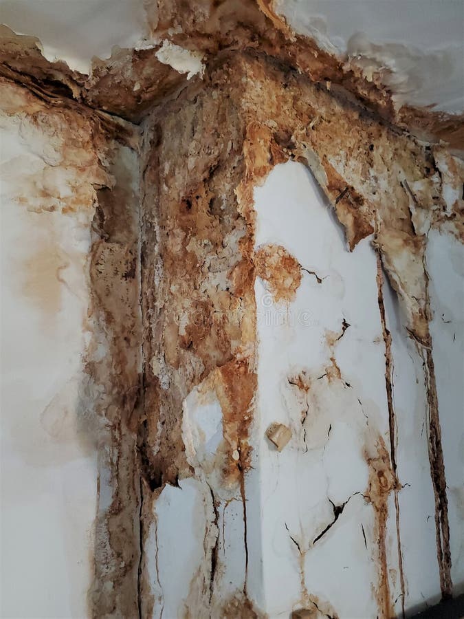 Water Damage on White Ceiling and Down Interior House Wall Stock Photo ...