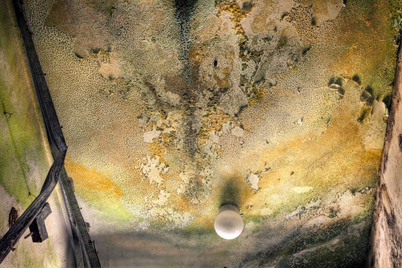 Water damaged ceiling stock image. Image of stains, decay - 44718327