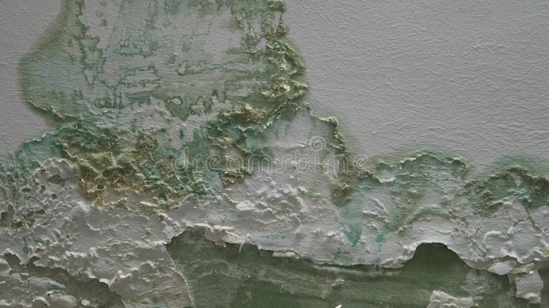 Close-up of a Ceiling with Extensive Water Damage, Peeling Paint, and ...