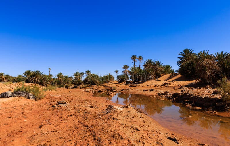 Water in De Oase, De Woestijn Van De Sahara Stock Afbeelding - Image of ...