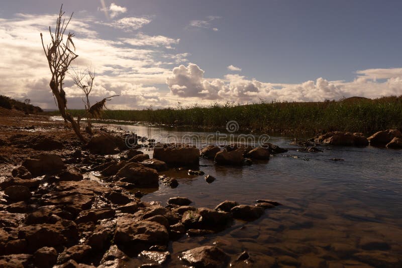 Water in the Desert in the Wadi of the River Draa Stock Image - Image ...