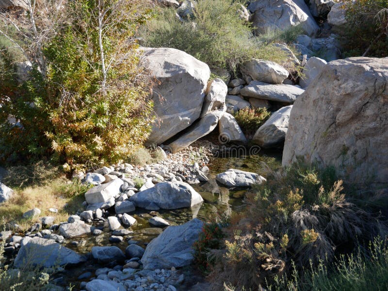 Water in the desert stock image. Image of palm, stream - 174988421