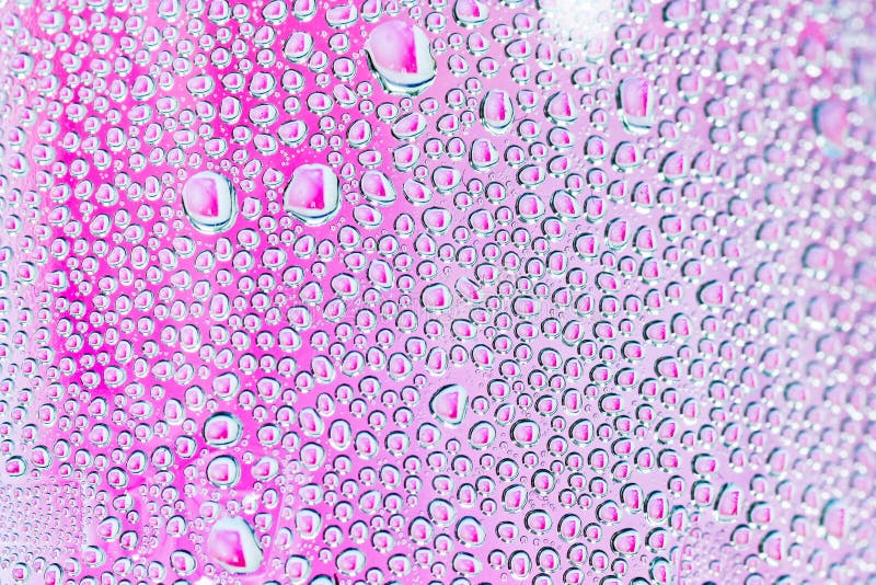Water dew drops stock image. Image of macro, water, growth - 23416923