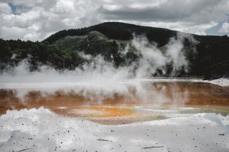 Water of Different Colors in the Lake of Rotorua Stock Photo - Image of ...