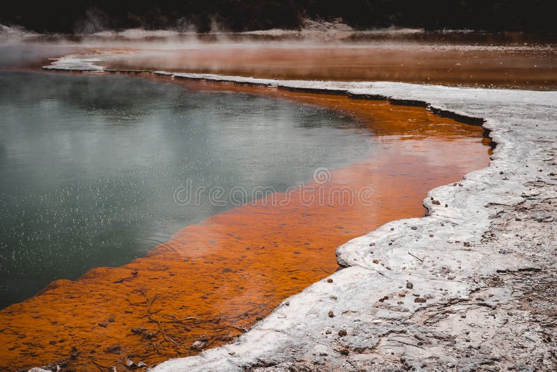Water of Different Colors in Rotorua Stock Photo - Image of nature ...