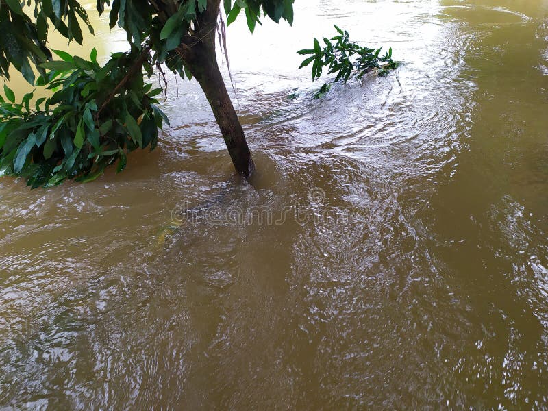 The Water Discharge that Started To Rise is Cloudy Stock Image - Image ...