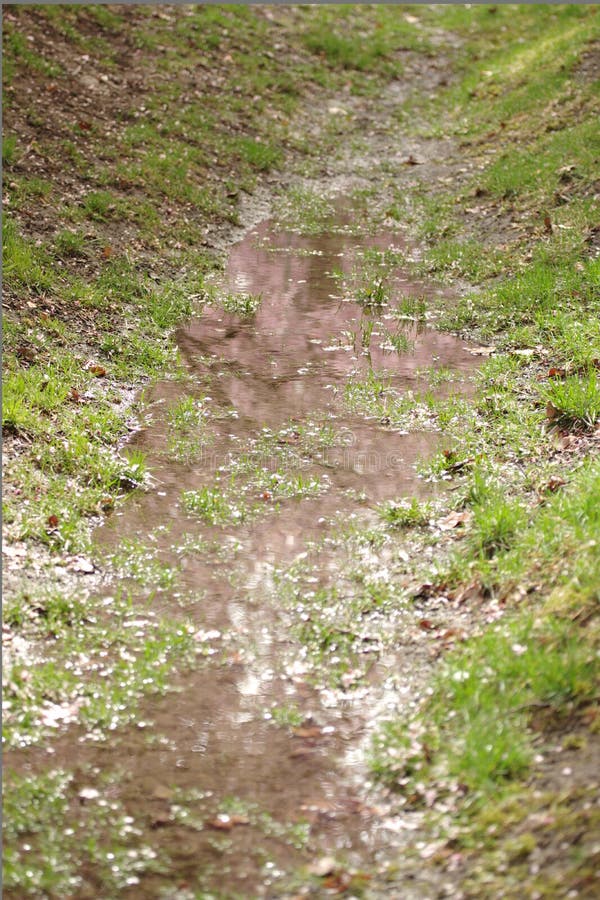 Ditch with dirty water stock photo. Image of concepts - 32537598