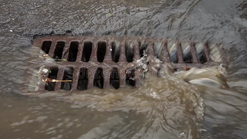 Water Drains into the Sewer through the Iron Grid Stock Footage - Video ...