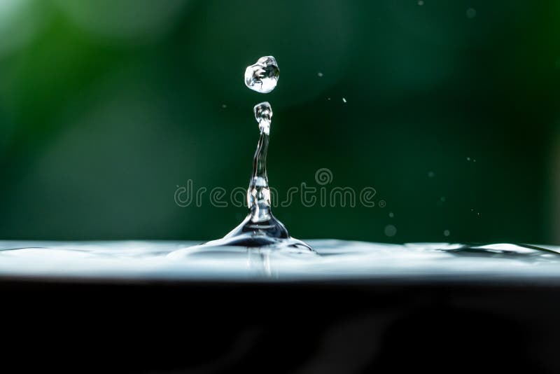 Water drip close macro stock photo. Image of beauty - 143298336