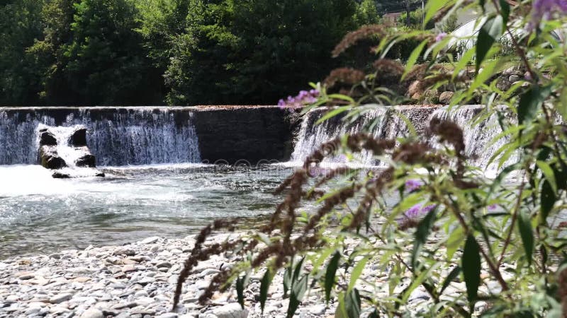 Water Dripping Down from Small Waterfall Stock Video - Video of fall ...