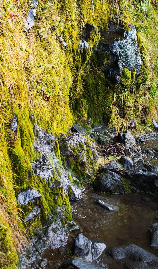 958 Water Dripping Rock Photos - Free & Royalty-Free Stock Photos from ...