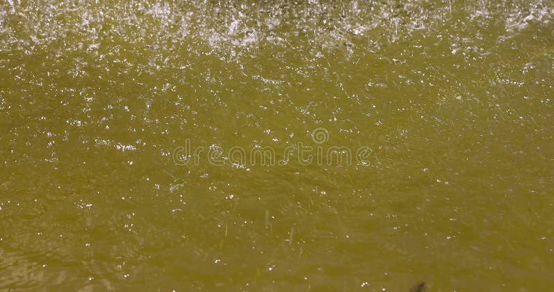 Water Dripping from Above into a Large Container of Water Stock Video ...