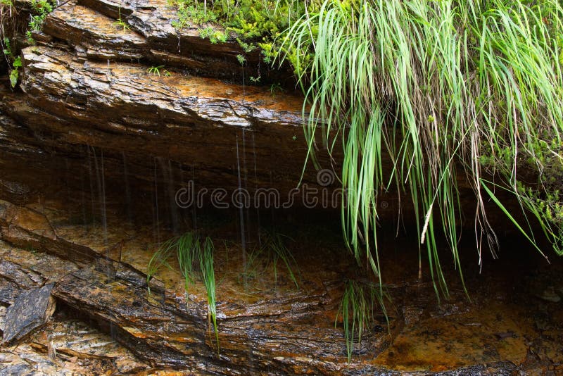 Water dripping from rock stock photo. Image of moisture - 315600