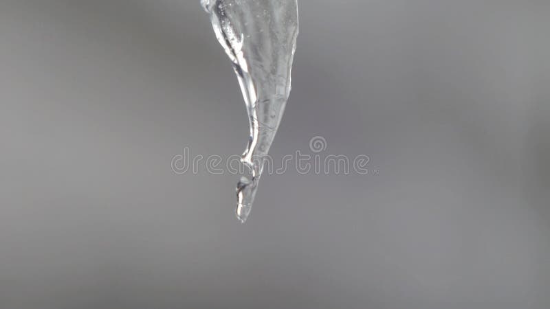 Spring melting icicle stock video. Video of weather - 275675735