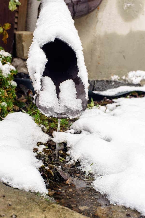 Melting ice on winter tree stock image. Image of grey - 164754793