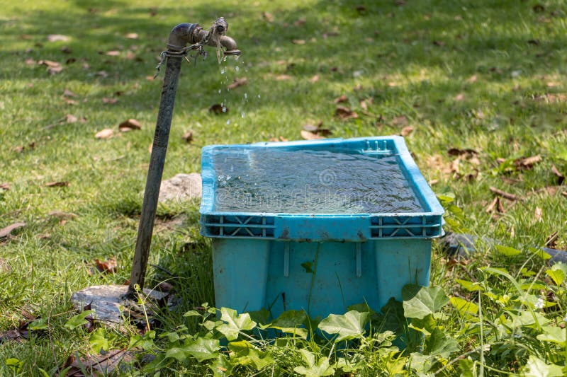 A Water Drips from an Outdoor Tap into a Plastic Container Stock Image ...