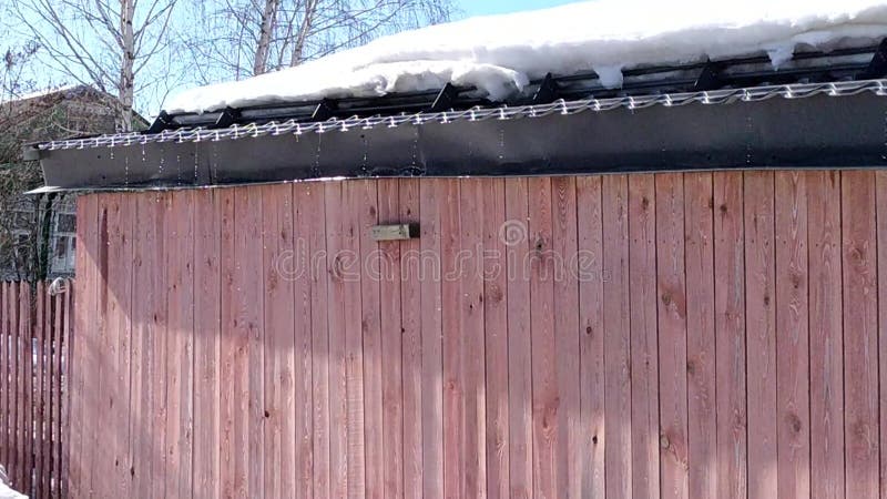 Water Drips from a Stone Surrounded by Green Grass, Leaves, Moss. Close ...