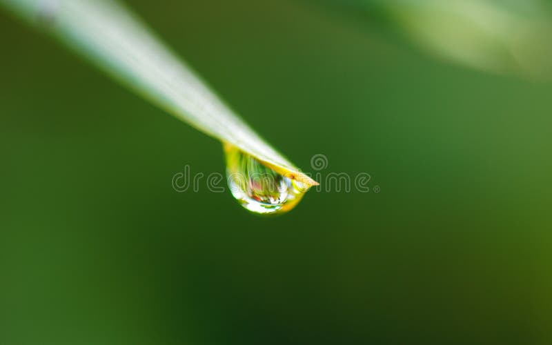 Water Drop Picture. Image: 142992385