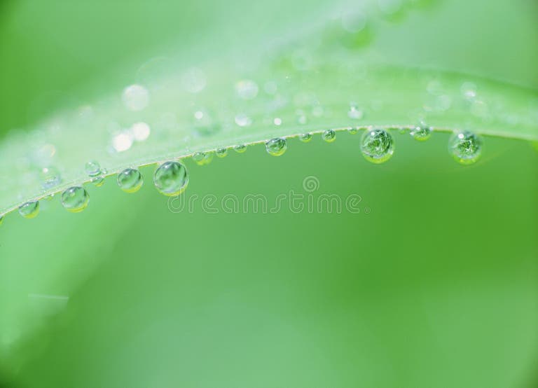 1,647 Microscope Drop Water Stock Photos - Free & Royalty-Free Stock ...