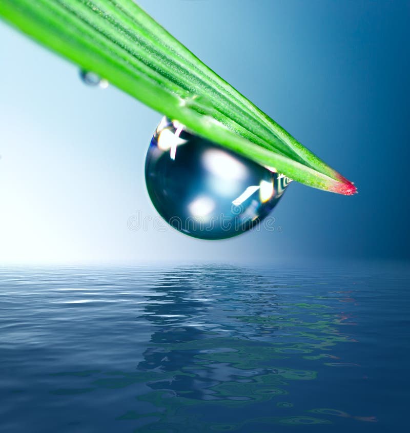 Water Drop stock image. Image of drop, fresh, ecosystem - 2556749
