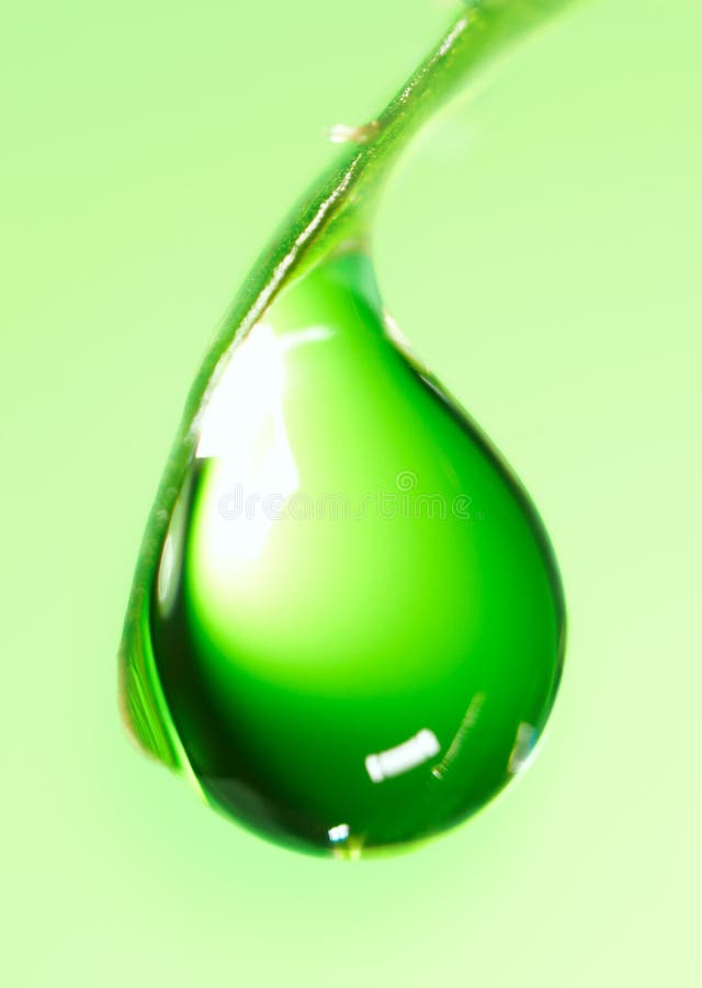 Water Drop stock photo. Image of clean, drip, hydro, flora - 2556982