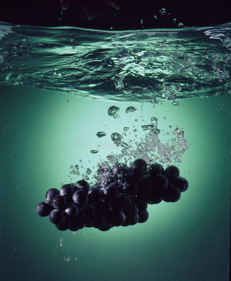 Water stock photo. Image of drop, fruit, grape, wave - 81577162