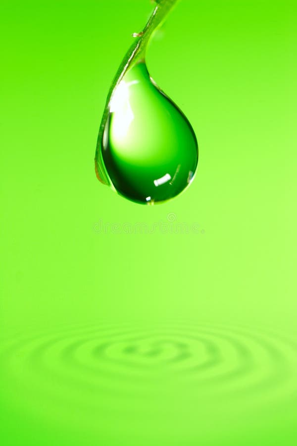 Water Drop stock photo. Image of clean, drip, hydro, flora - 2556982