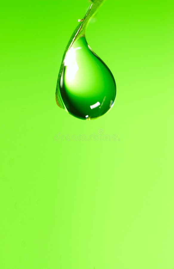 Water Drop stock photo. Image of clean, drip, hydro, flora - 2556982