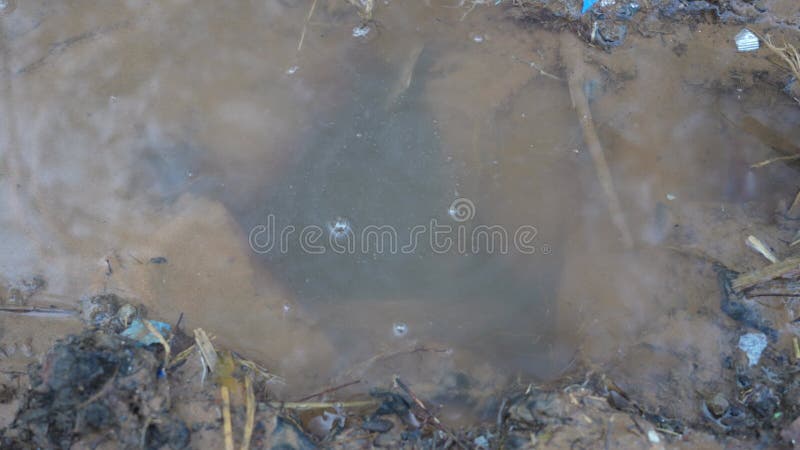 Water Drop Appearing from Water Pond. Fresh Rainy Water Flow Closeup on ...