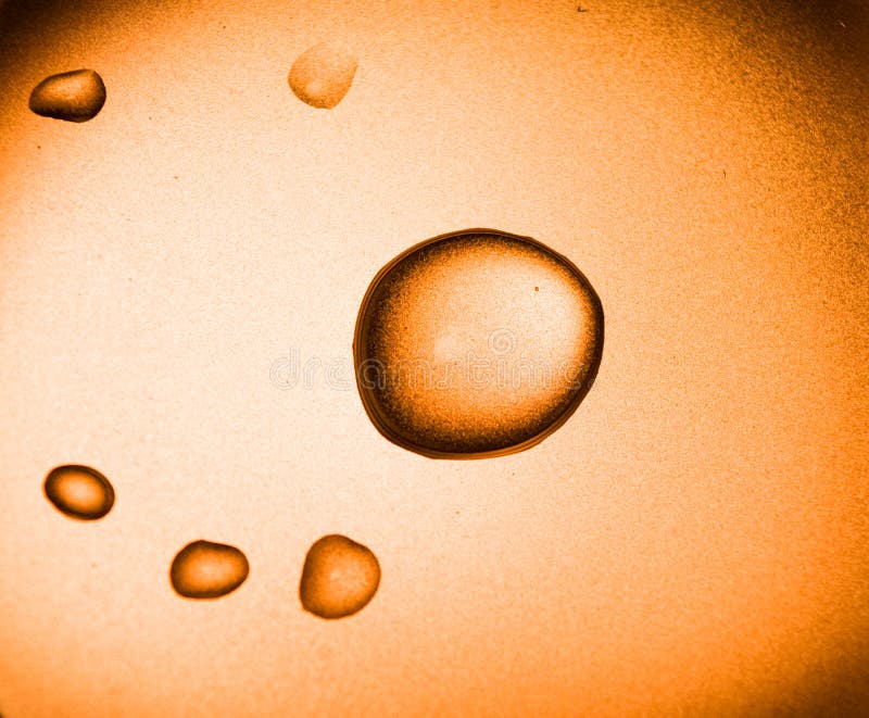 Close Up Water Drops on Human Skin Stock Photo - Image of natural ...