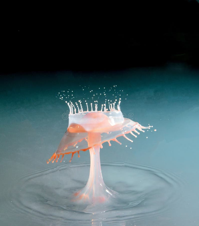 Water drop collision stock photo. Image of drops, splashing - 84957614