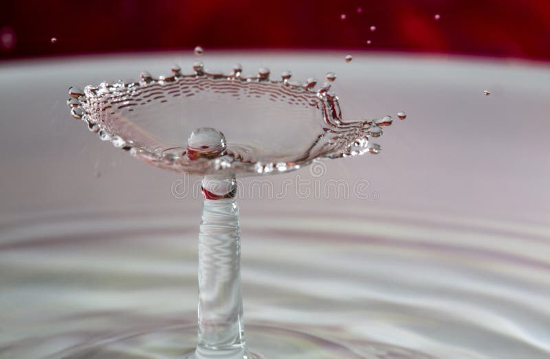 Shell falling in sea water stock image. Image of shell - 30551079