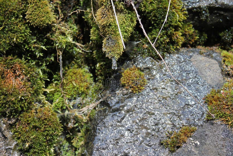 958 Water Dripping Rock Photos - Free & Royalty-Free Stock Photos from ...