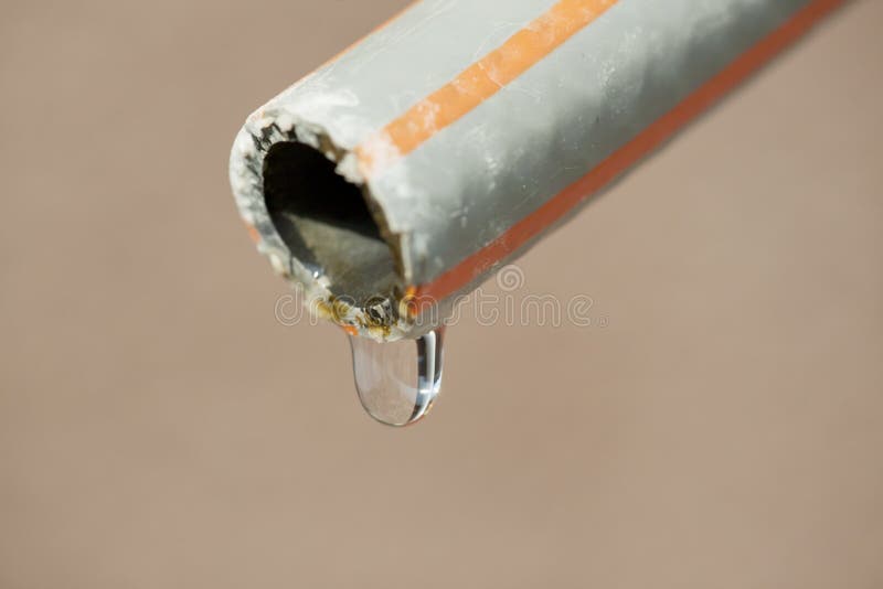 887 Dry Wet Waste Stock Photos - Free & Royalty-Free Stock Photos from ...