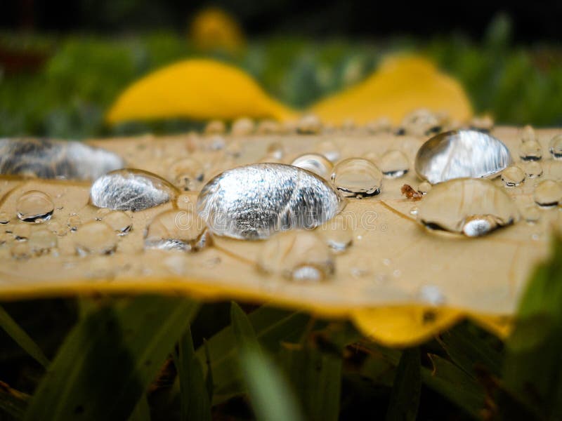 Water Drop stock photo. Image of hope, beauty, liquid - 40334450