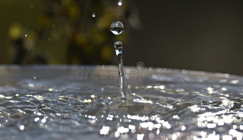 Water Drop Fall on Water Surface and the Splash Jump Abstract Water ...