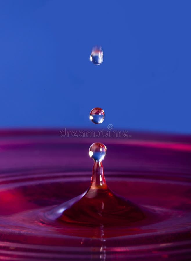 Water drop stock photo. Image of peace, green, naturesfinest - 8599686