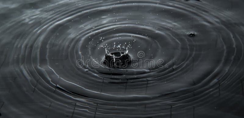 Water Drop Falling into Water Making a Concentric Circles Stock Image ...