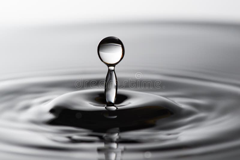 Water Drop Falling into Water Stock Image - Image of dripping, drip ...