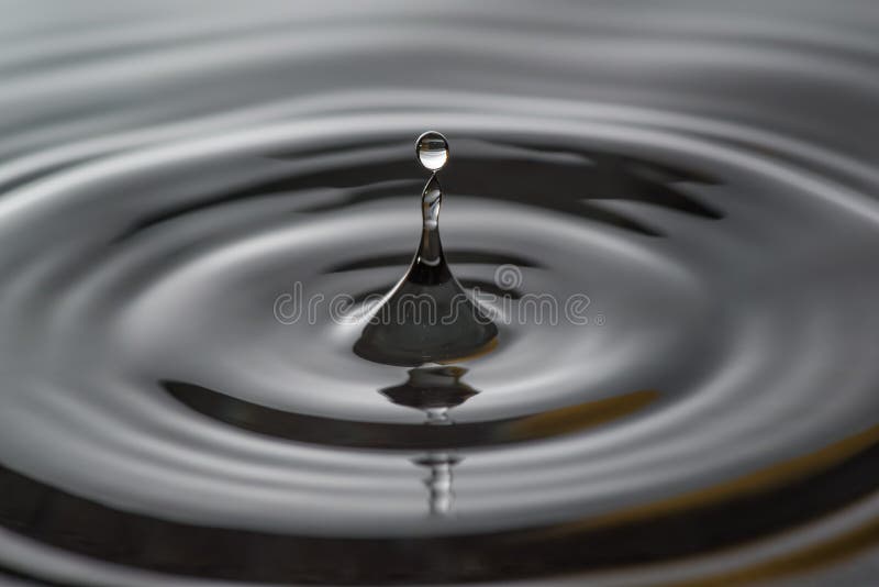 Water Drop Falling into Water Stock Photo - Image of capture, movement ...