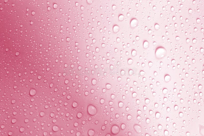 Water Drop on Fresh Light Pink Background Stock Image - Image of ...