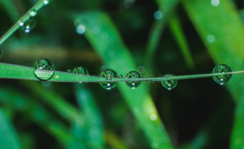 Water Drop Pattern Close-up on Grass Stock Image - Image of rough ...