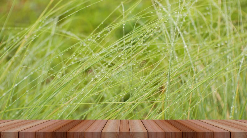 Water Drop on Grass and Wooden Table for Product Display Stock Photo ...