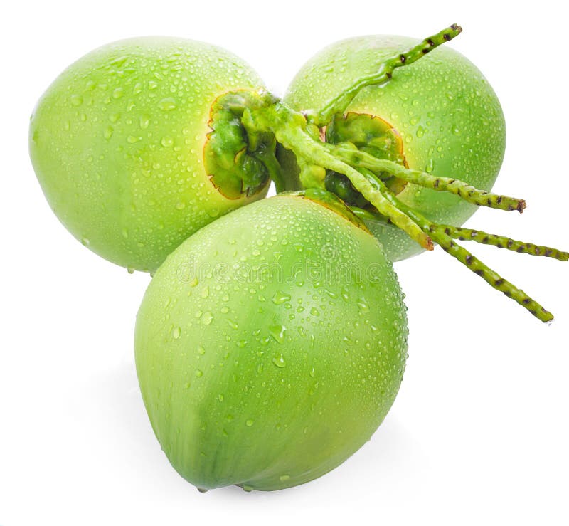 240 Coconuts Water Drop Stock Photos - Free & Royalty-Free Stock Photos ...