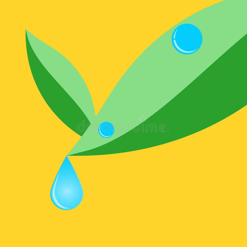 Water Drop on Green Leave.illustration Vector Stock Illustration ...